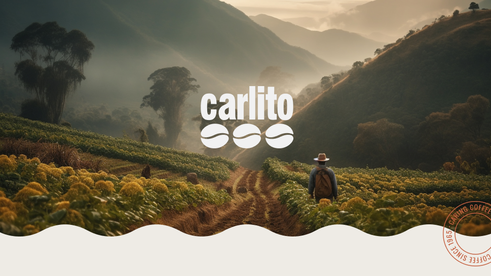 Caffè Carlito | Caring Coffee from 1965